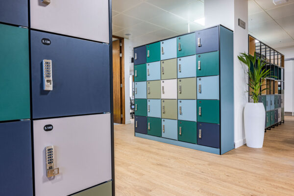 Locker Types 101: The Low Down on Locker Storage - Your Workspace